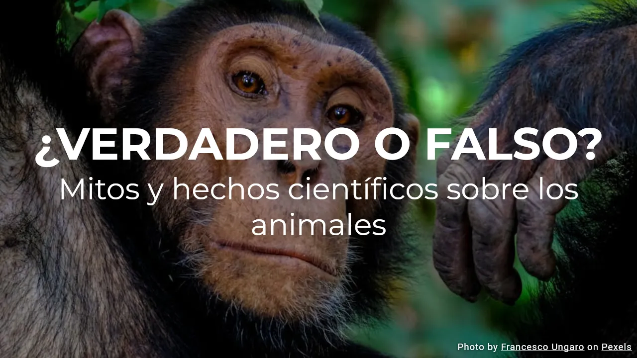 ¿Verdadero o falso? Mitos y hechos científicos sobre los animales