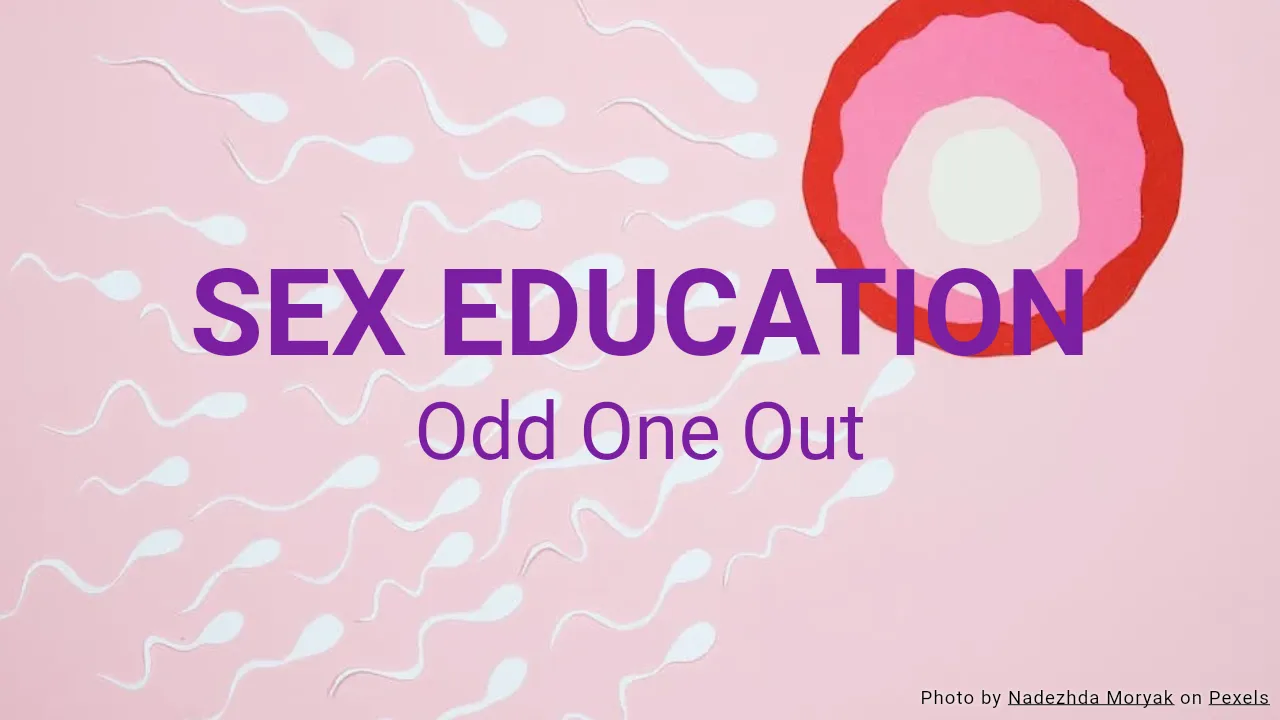 Sex Education Quiz - Odd One Out Activity