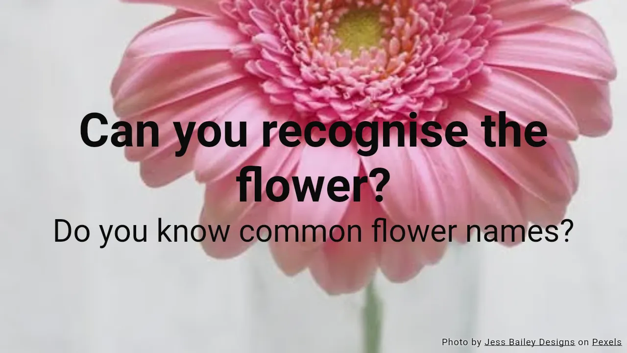 Common Flowers Quiz: Can You Recognise the Flower?