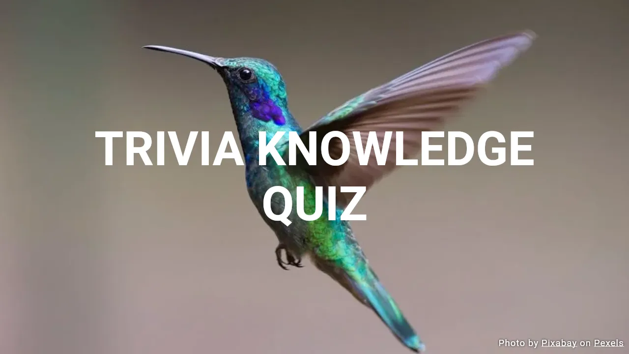 Trivia Knowledge Quiz - 10 Questions to Test Your Wits